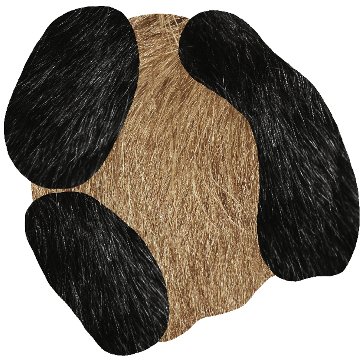 Bearded Leopard - Skanno